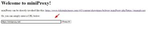 Miniproxy - Best Proxy Network Information